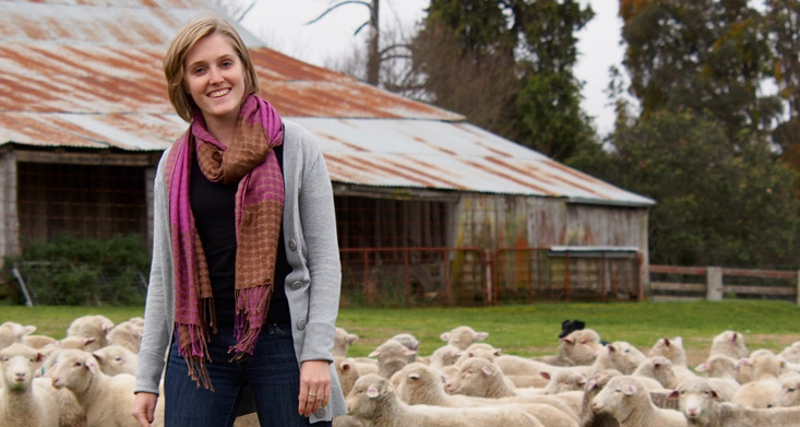 Meet Jo Newton who began her career in Wool in a Suburban Sheep Stud ...