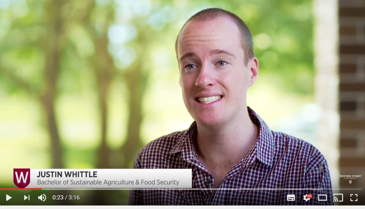 Agriculture – the vision making the most of it – We are Champions for ...