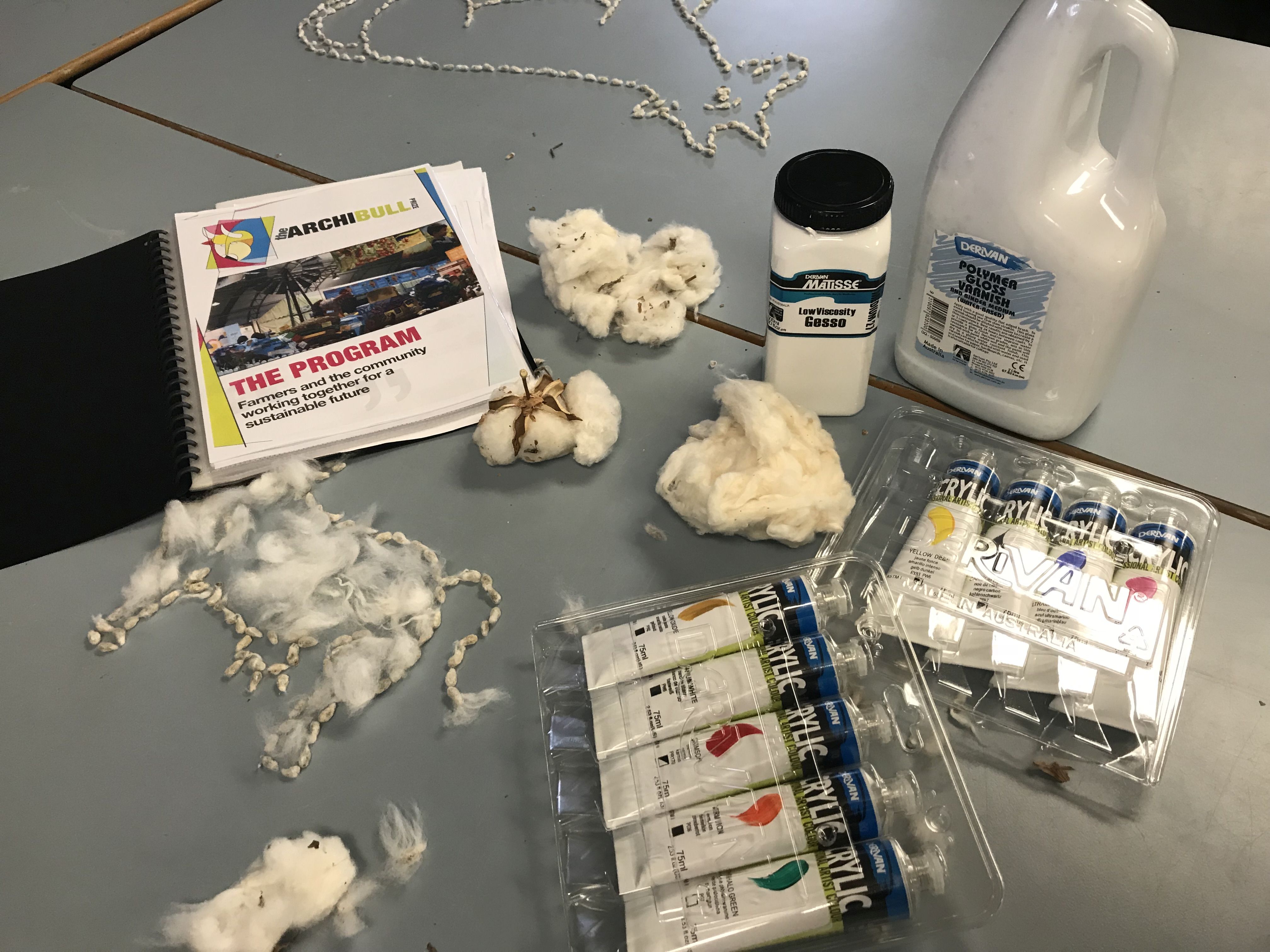 Kuring-gai HS (87) – We are Champions for Change