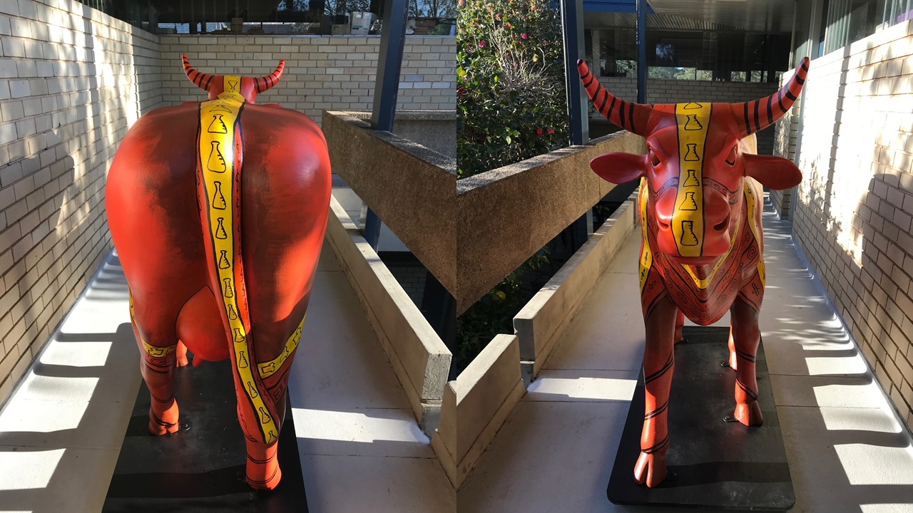 Ku-ring-gai High School (2) – We are Champions for Change