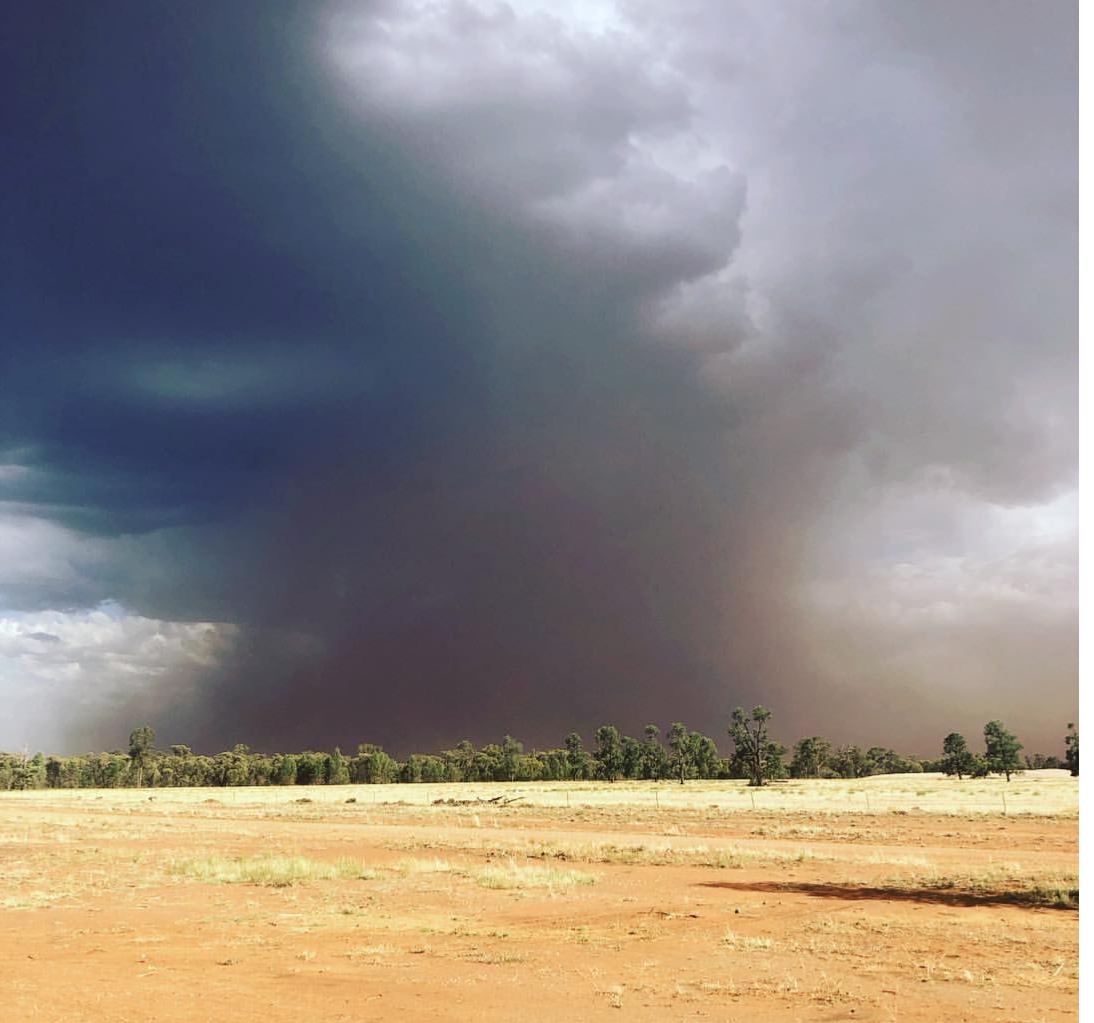 Young Farming Champions Dan Fox and Emma Ayliffe find farming in a ...