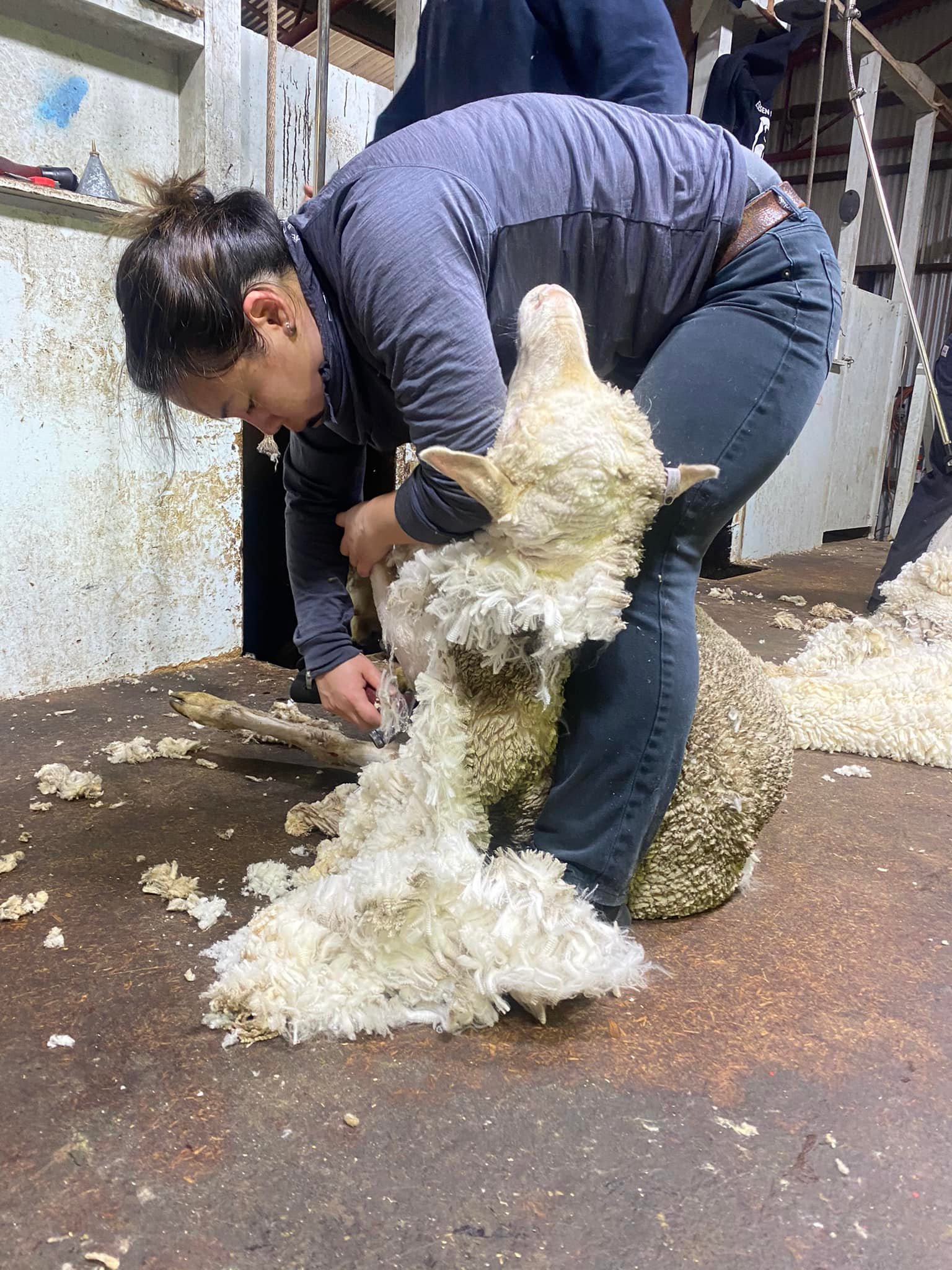 4b Sam Wan – We are Champions for Change