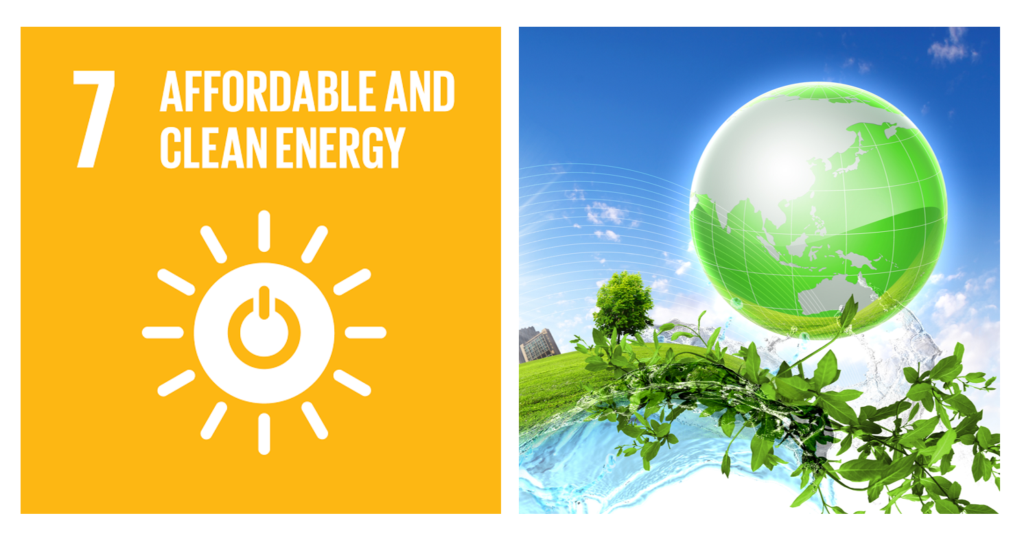 SDG 7 Image 1 – We are Champions for Change